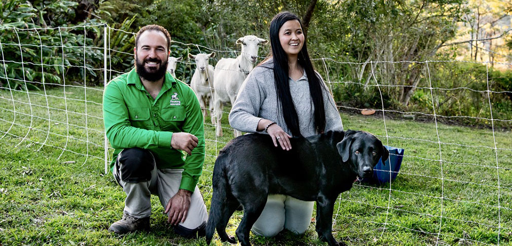 The goats who are helping a human | Springwood Area Local News