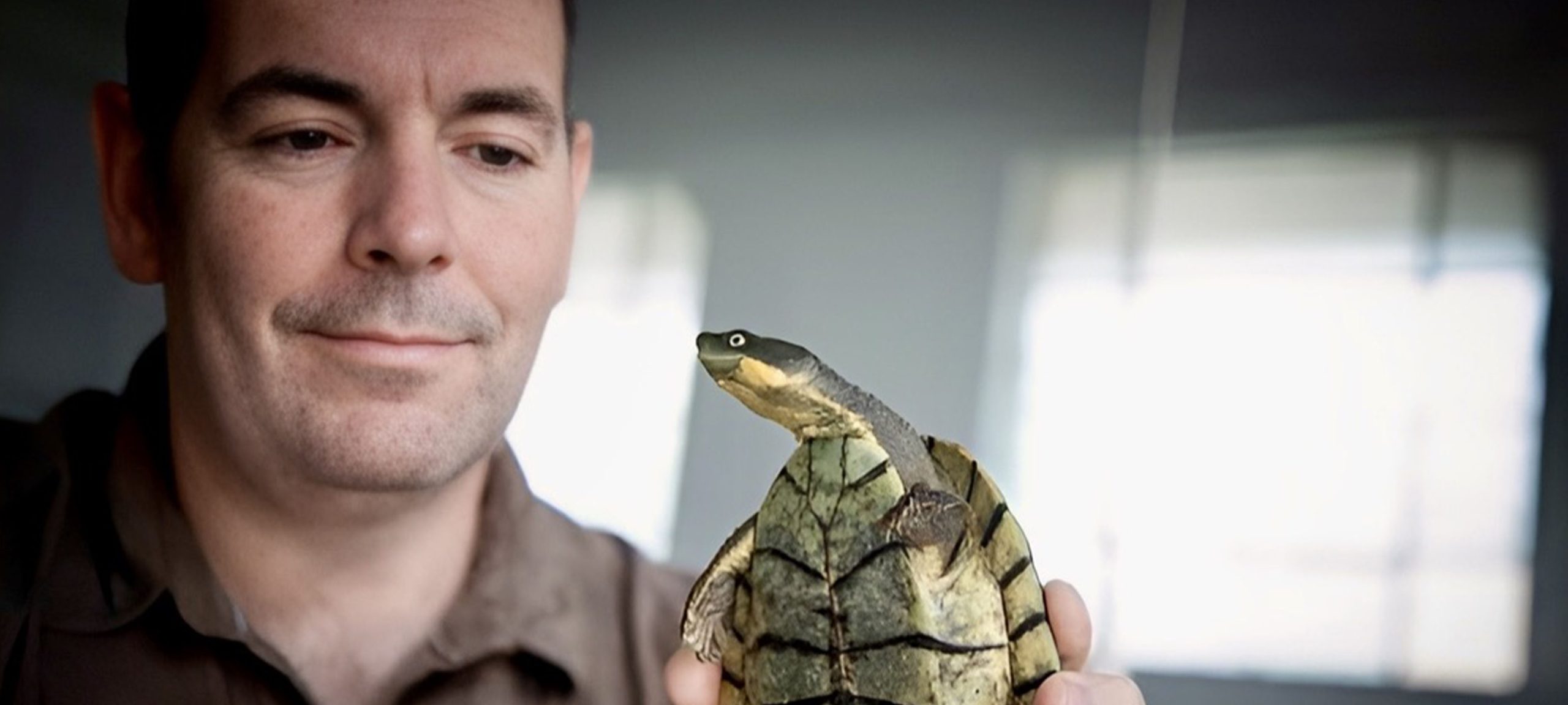 1 Million Turtles Project | Springwood Area Local News