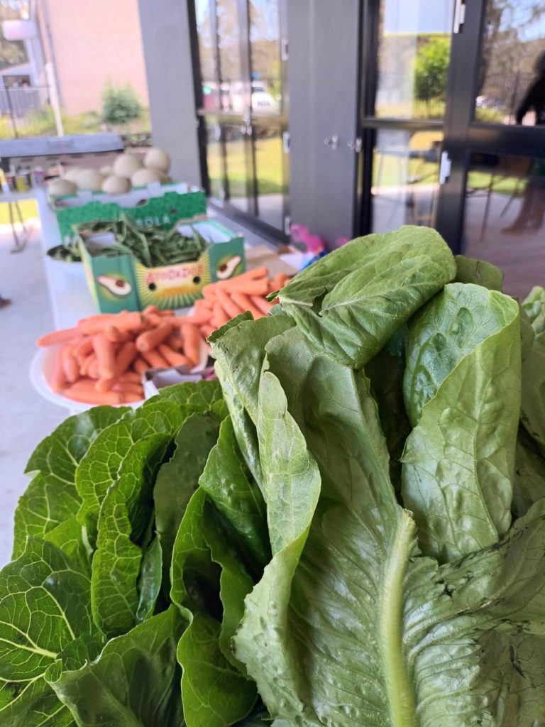 The Pantry: Reclaimed Food Revolution | Springwood Local News